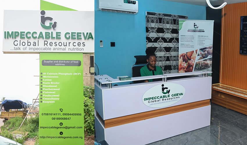 Gallery - IMPECCABLE GEEVA GLOBAL RESOURCES